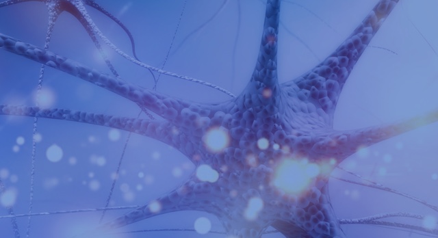 nbn2r.com - You diagnose a patient with Bipolar disorder. How can the ...